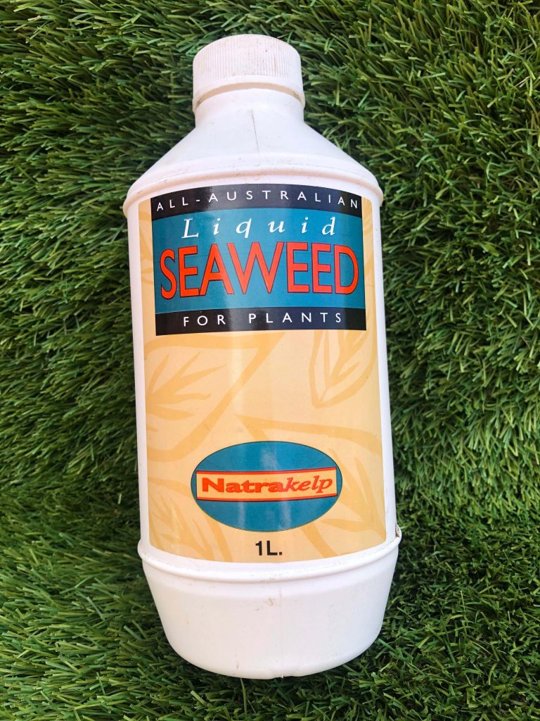 Liquid Seaweed - Lawn Rules Australia
